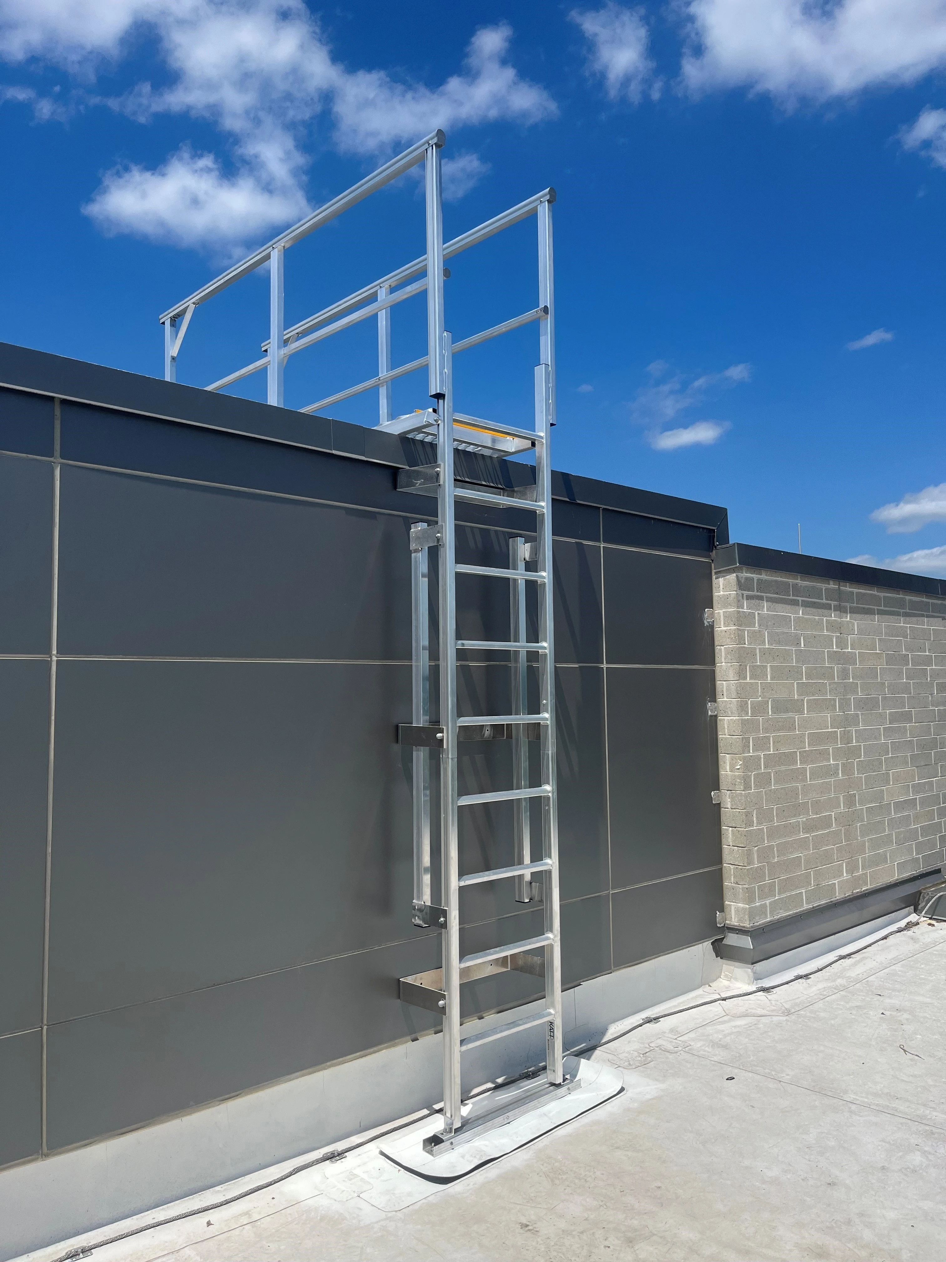 TremSafe® Plus Ladder